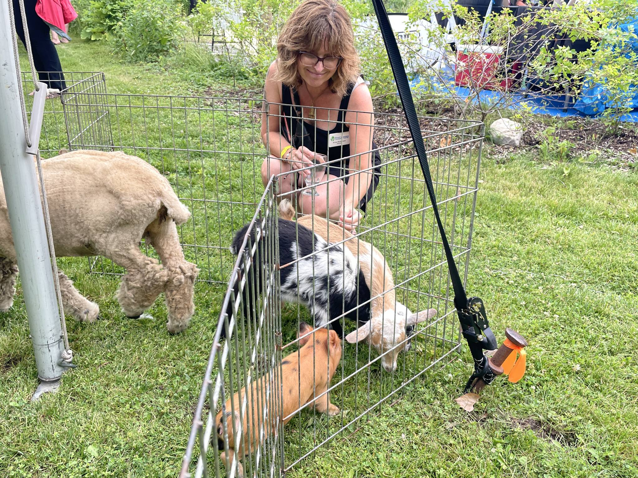 Backyard Summer Social Returns with Fun, Food and Festivities - Five ...